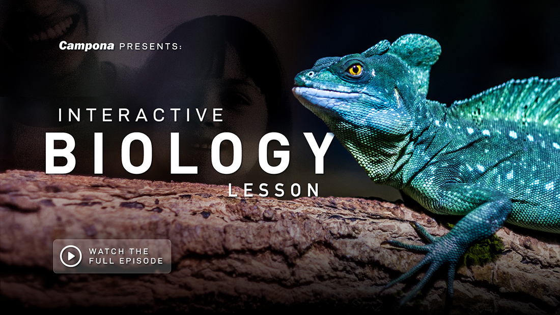 Interactive Biology Lesson - Campona | feat. agency